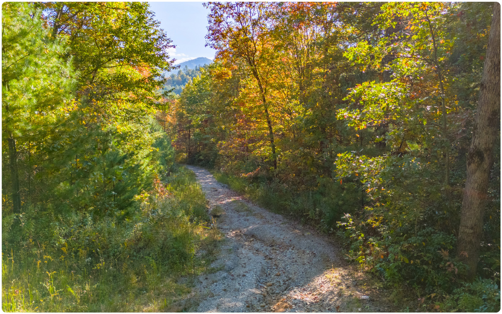 SOLD | The Preserve at Eagle Crest