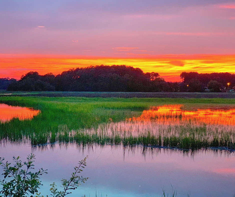 Exciting New Developments in Charleston for 2025