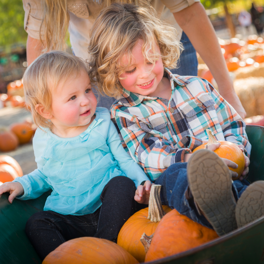 Enjoy a Lowcountry Autumn With these Fantastic Charleston Fall Activities
