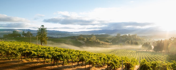 9 Reasons to live in Oakmont, Santa Rosa [2022 Edition]