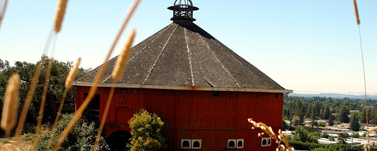 5 Reasons to live in Fountaingrove, Santa Rosa [2022 Edition]