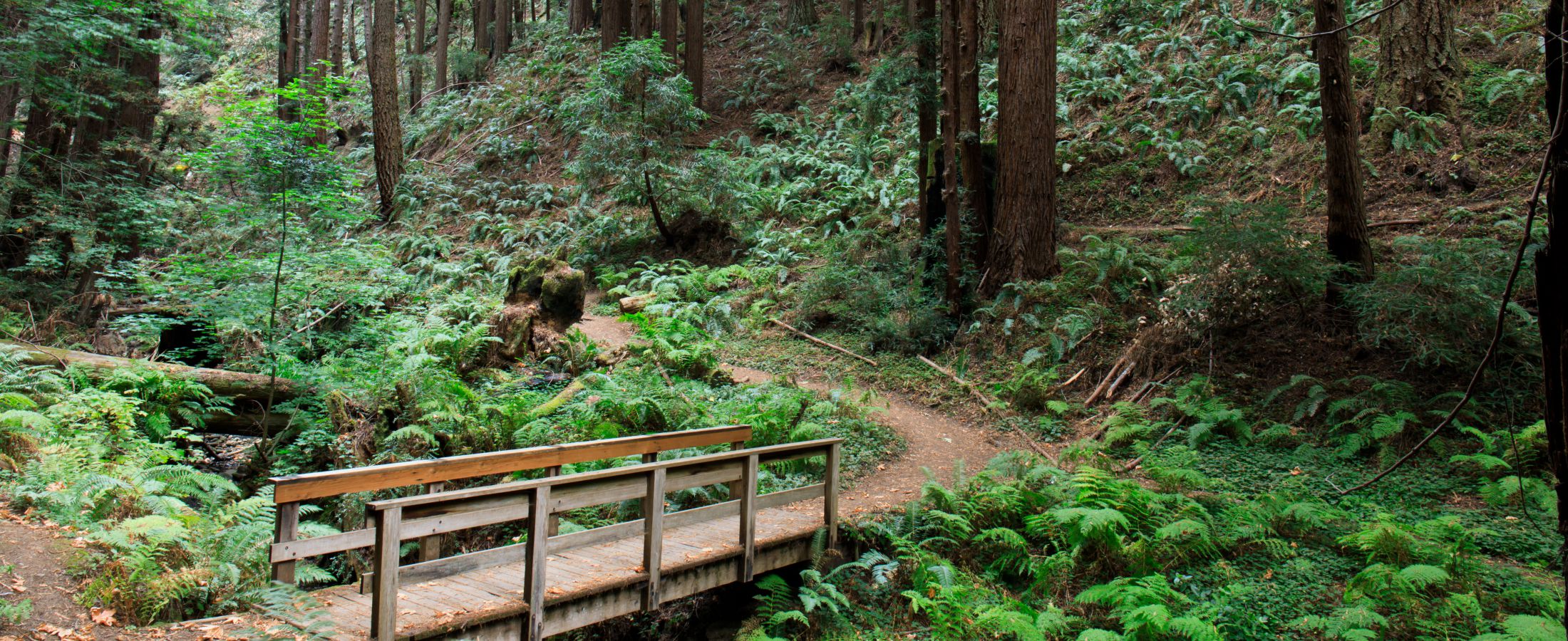 Woodside Real Estate | Woodside Homes for Sale