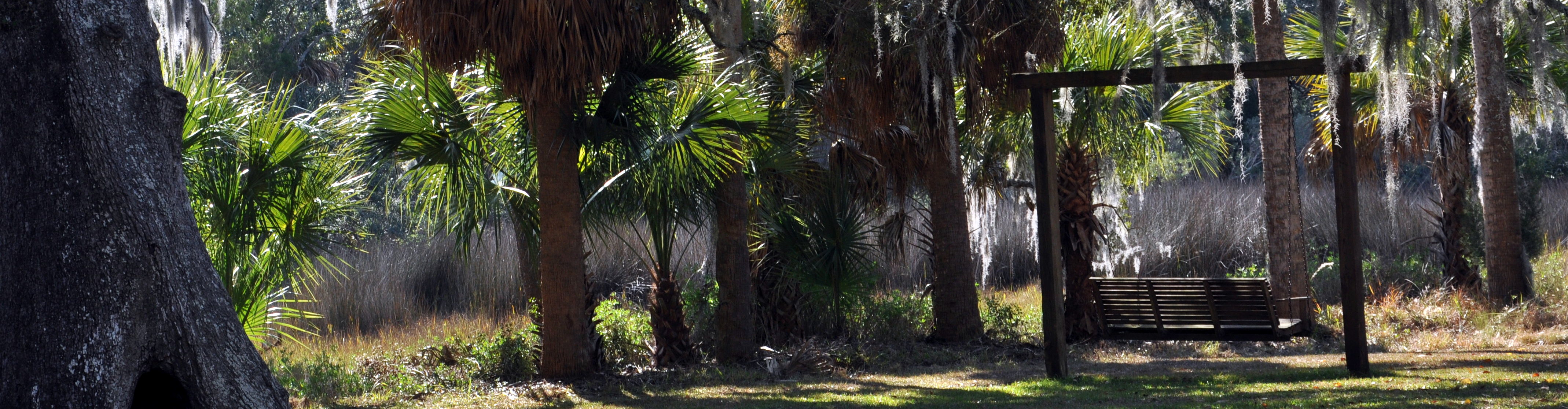 Burton SC Real Estate