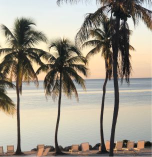 Beach Lifestyle Living