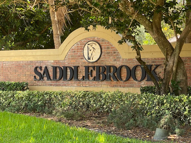 Saddlebrook