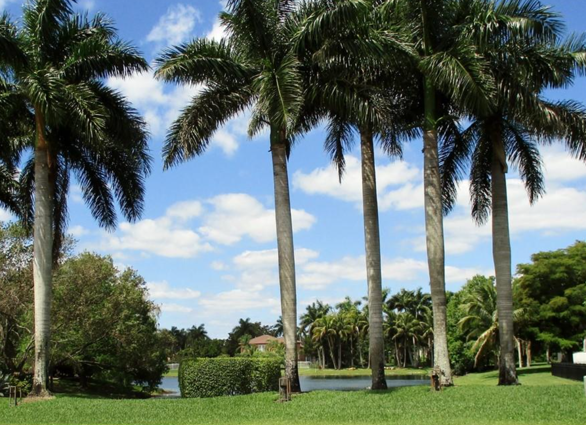Carlton Ranches: Davie, FL Luxury Real Estate & Homes For Sale