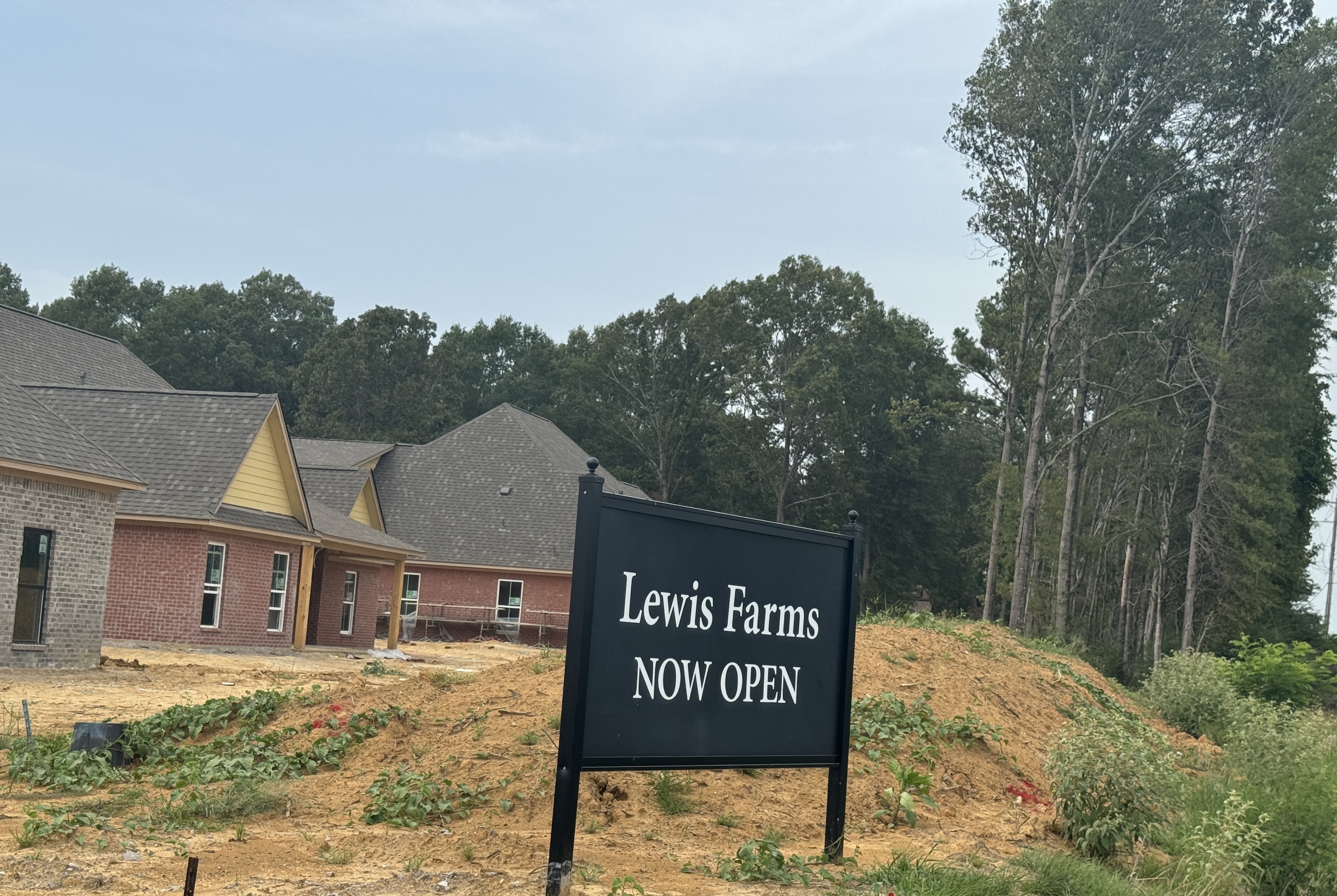 Lewis Farms Madison MS