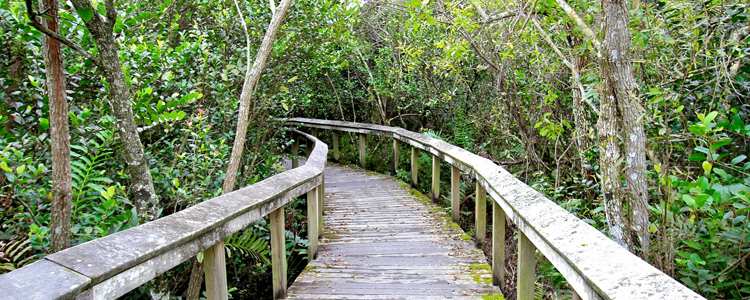10 Reasons To Live in Mira Bay, Apollo Beach [2022 Edition]