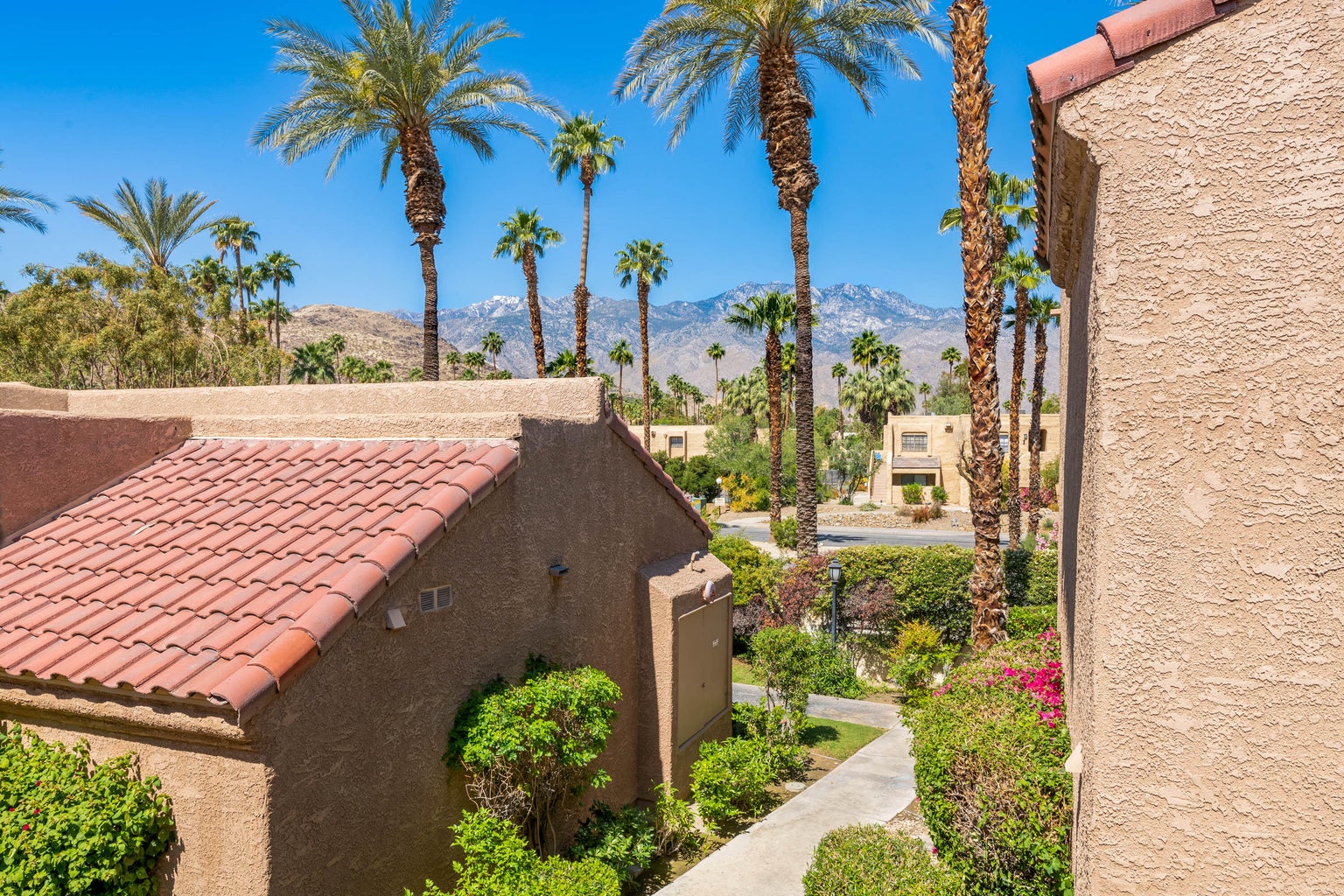 Unlocking the Beauty of Palm Springs: A Luxurious Condo Success Story