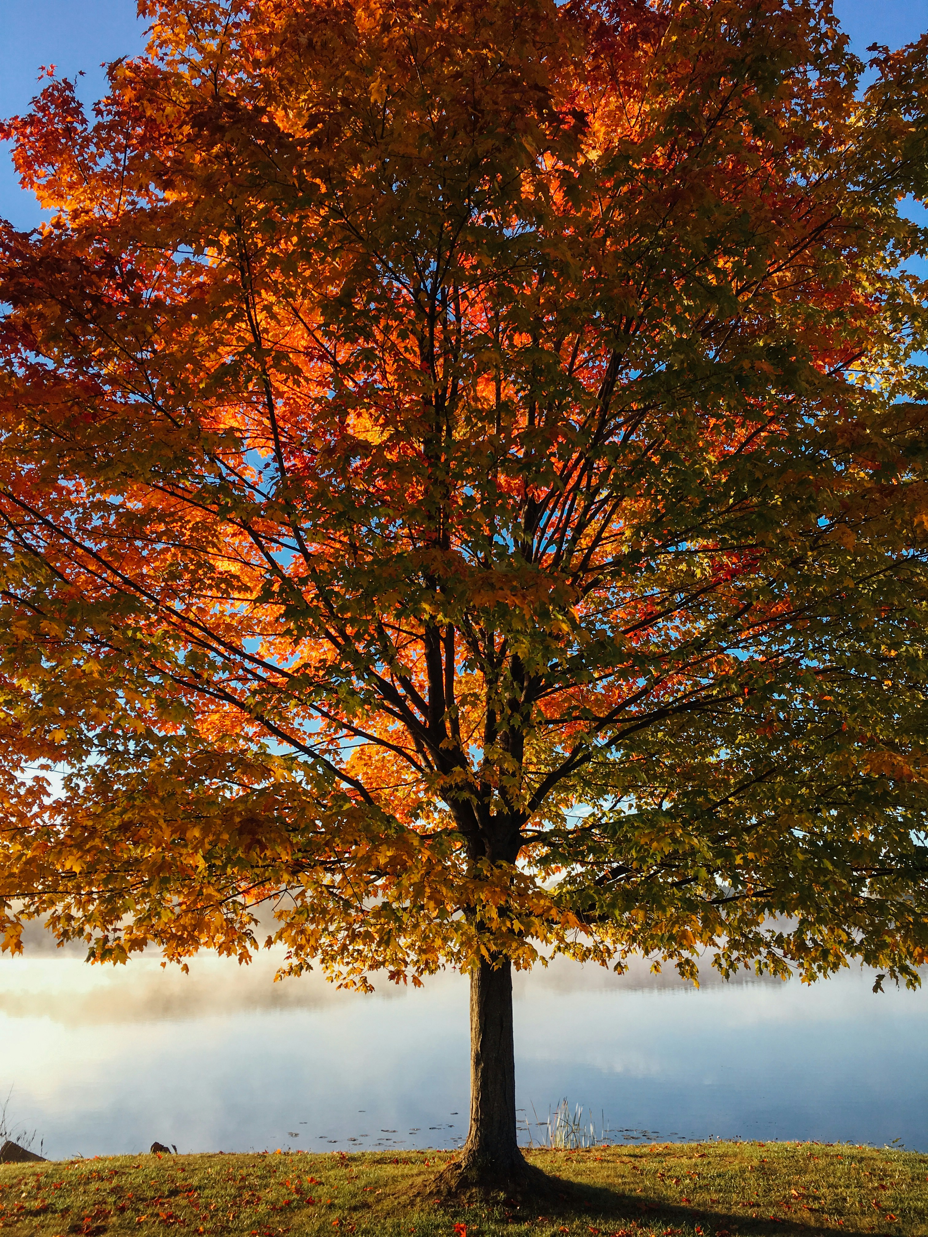 Fall Fun in Palm Desert: Activities to Enjoy This Season