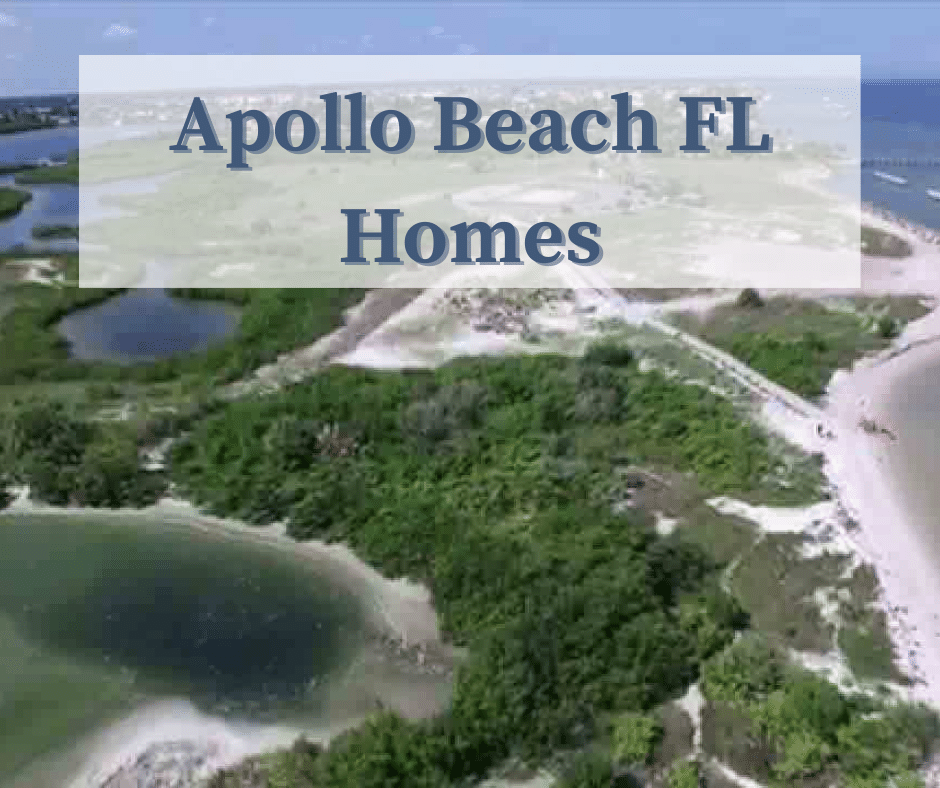 Just Listed Homes in Trinity FL