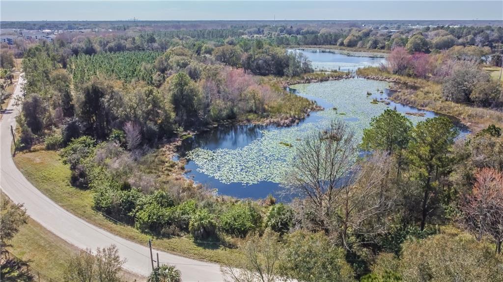 Land O Lakes Fl Land for sale