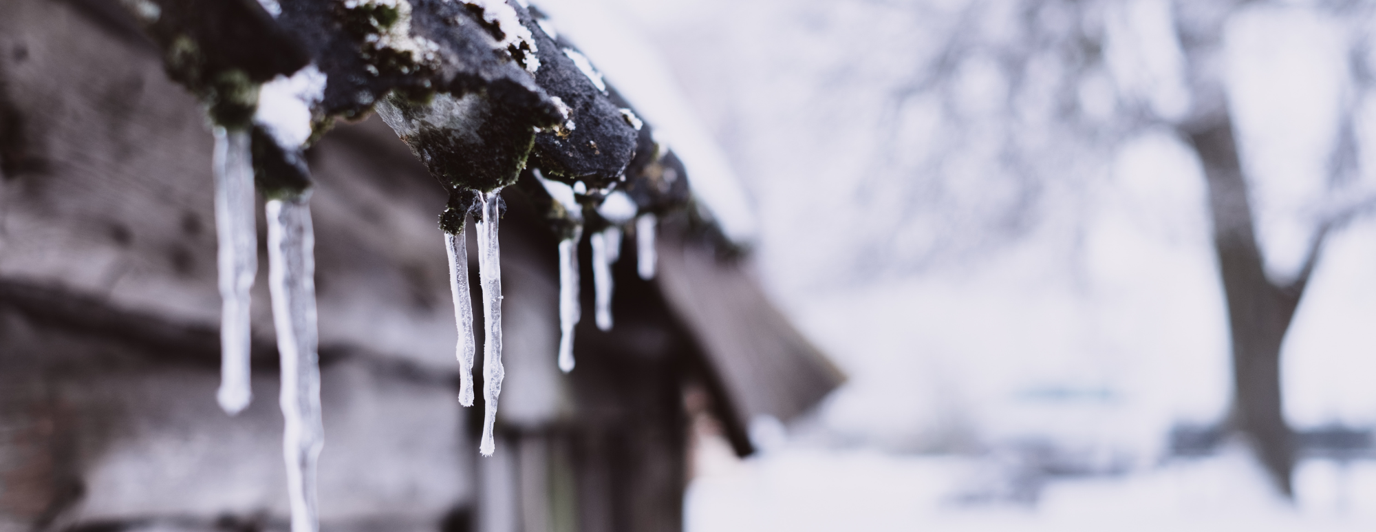 Essential Tips to Prepare Your Boise Home for Winter