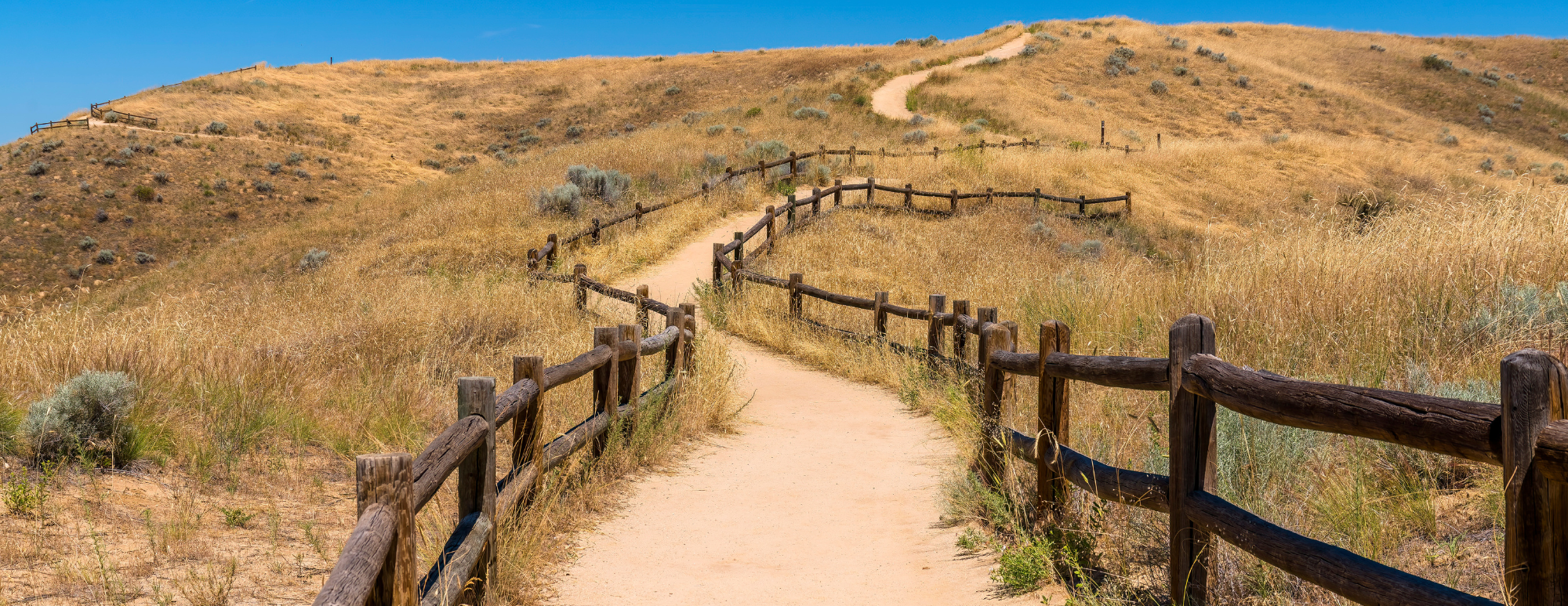 Relocation Guide