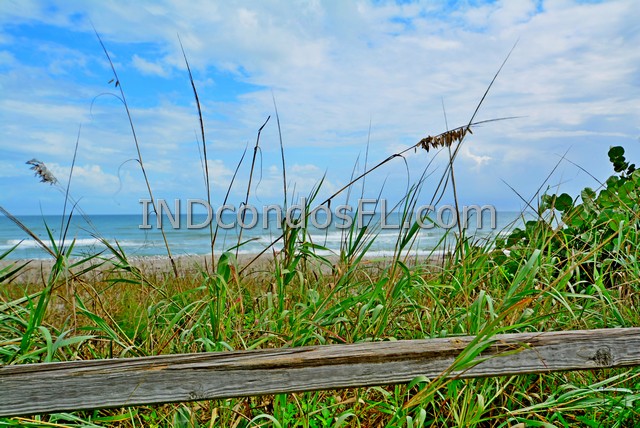 Magnolia Key Condos Indialantic, FL – Direct Oceanfront - RE/MAX ...