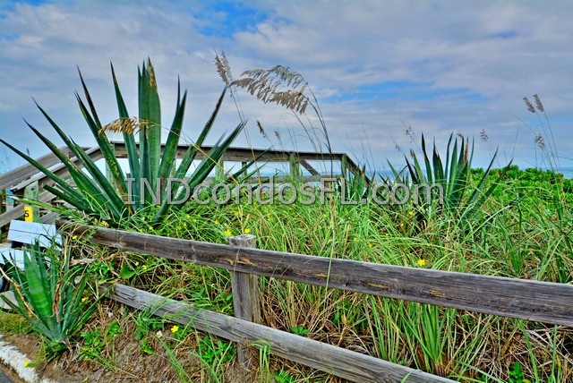 Indialantic – Ocean Crest Condo – Oceanfront vacation rentals for purchase