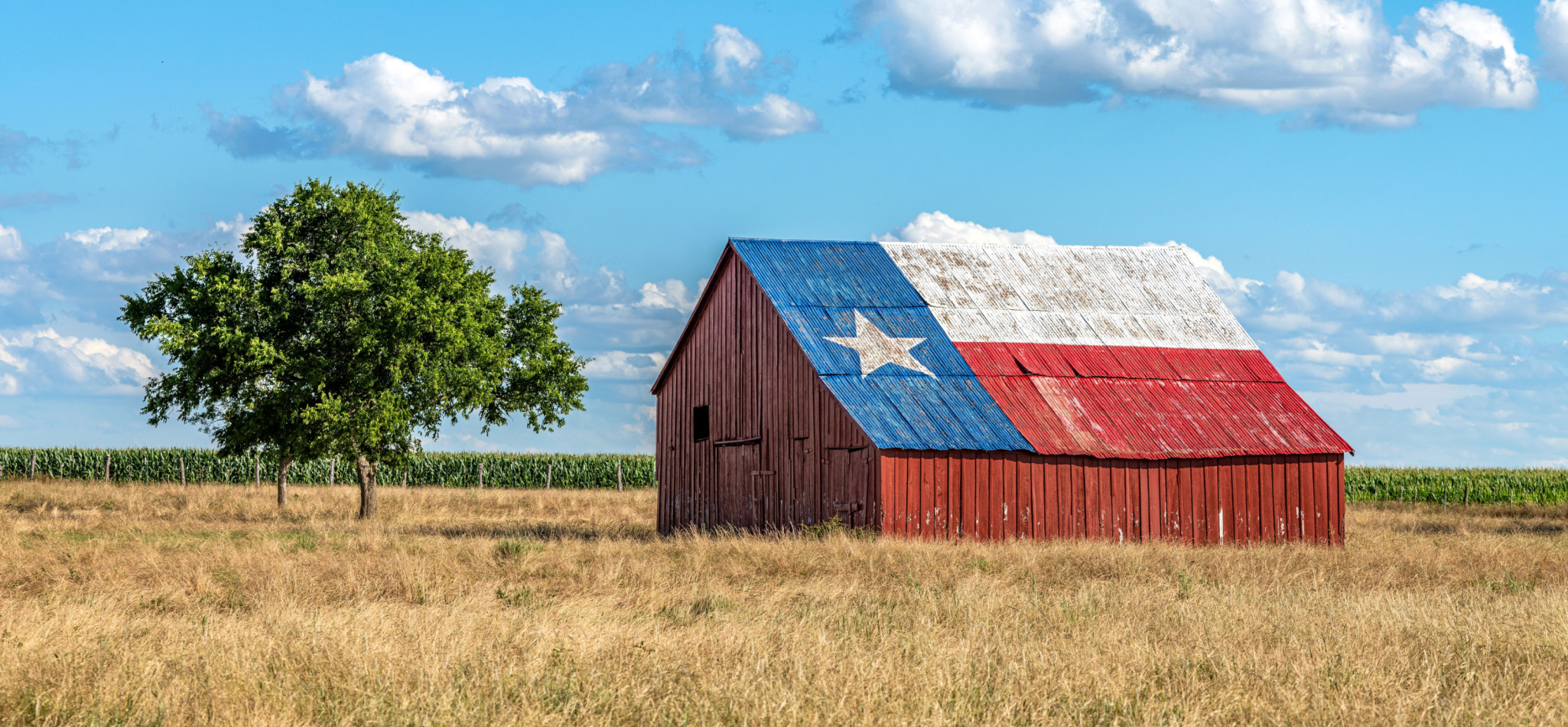 Texan Heritage Realty Group | Meet Our Agents