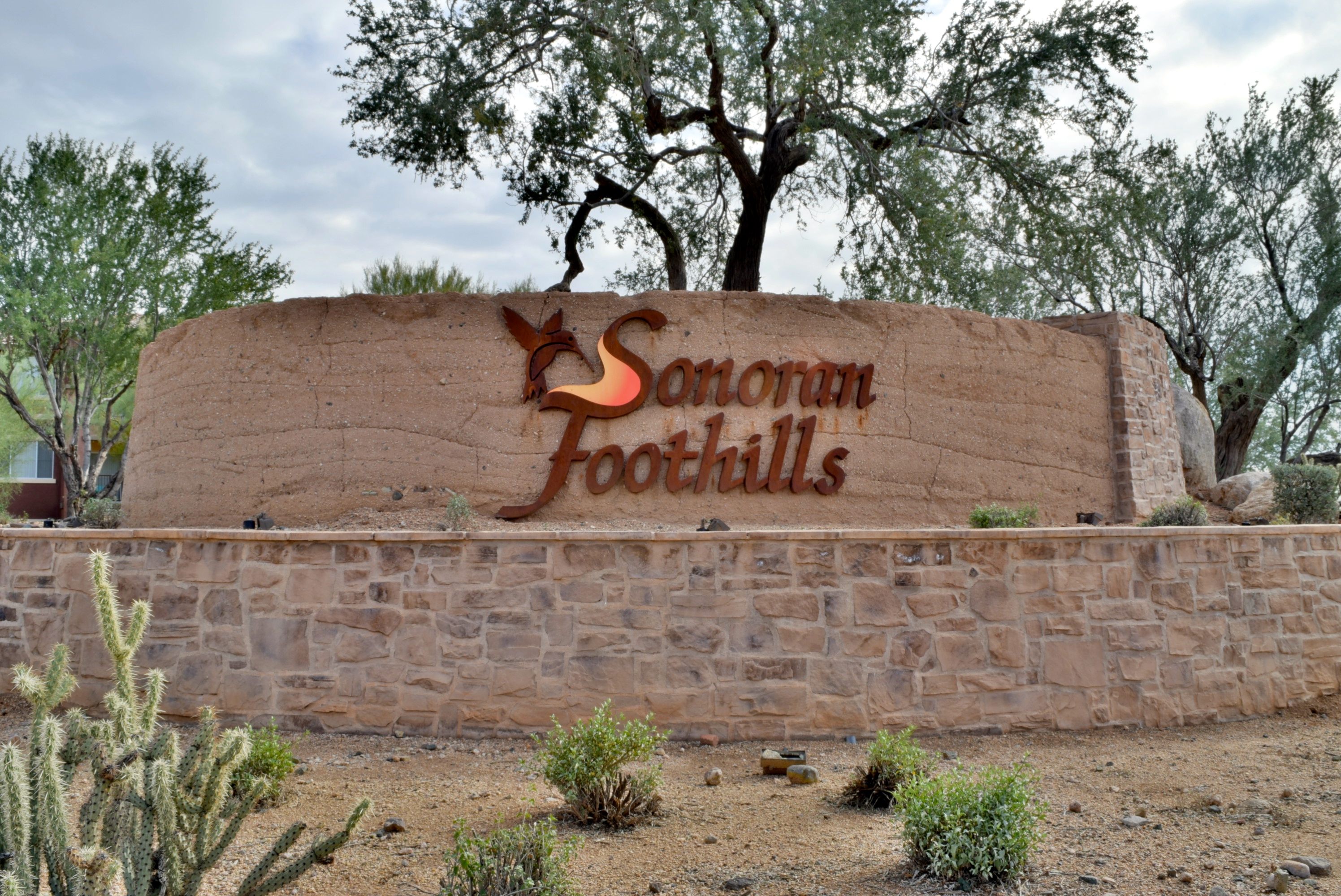 Sonoran Foothills Real Estate Search – Chad Arend 602-740-2074