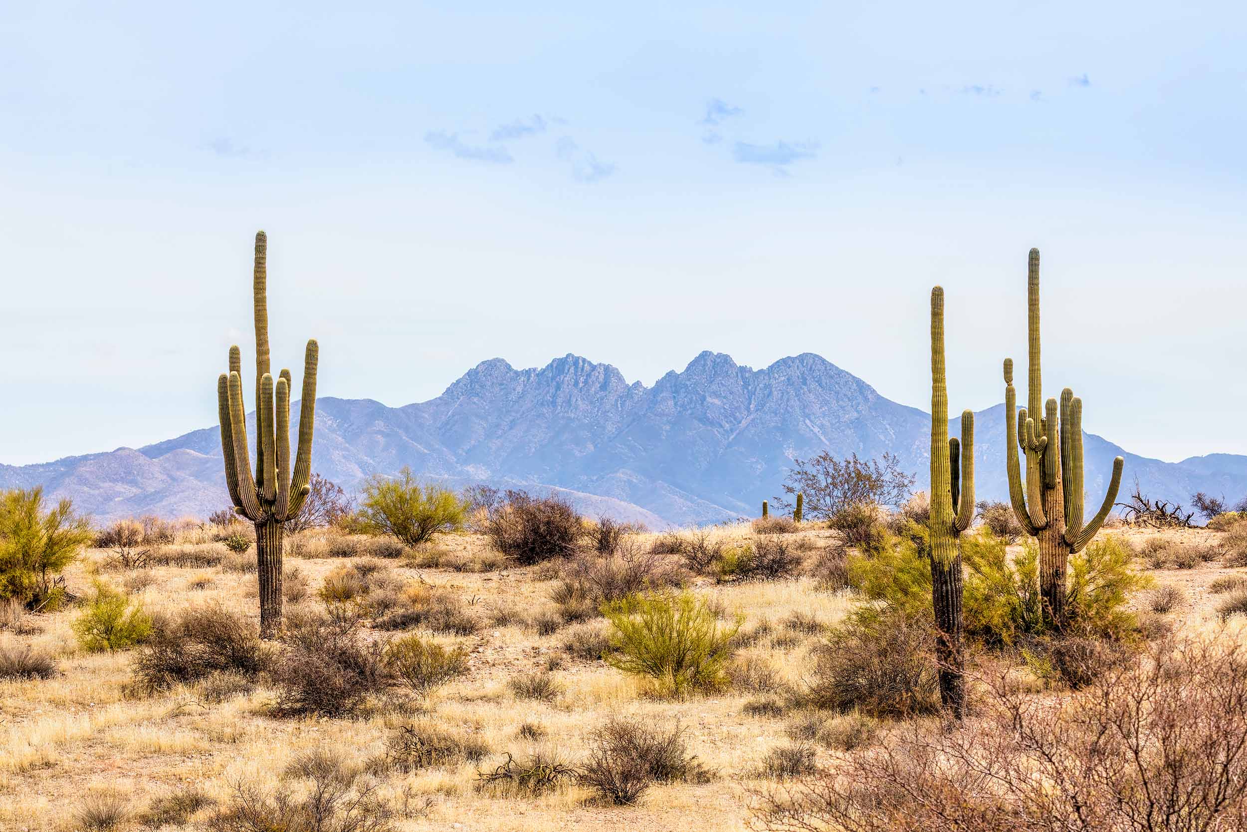 Peoria, AZ Land for Sale | The Broker Reserve