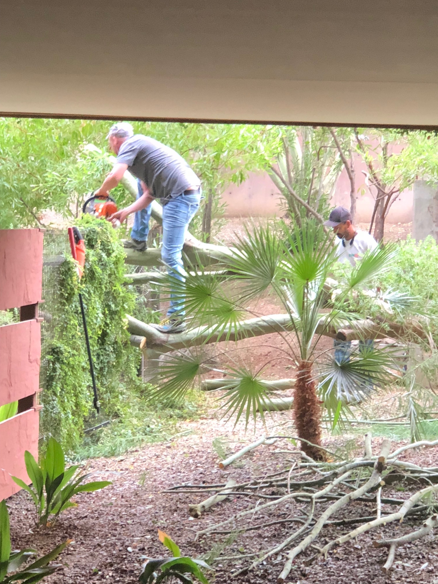 August 8, 2018 Haboob Hits Optima Camelview