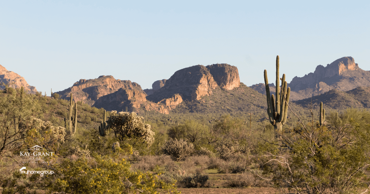 Learn Why Sun City Grand Is Popular With Retirees