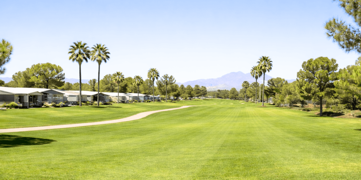 Affordable 55+ Homes in Mesa AZ ViewPoint Golf Resort