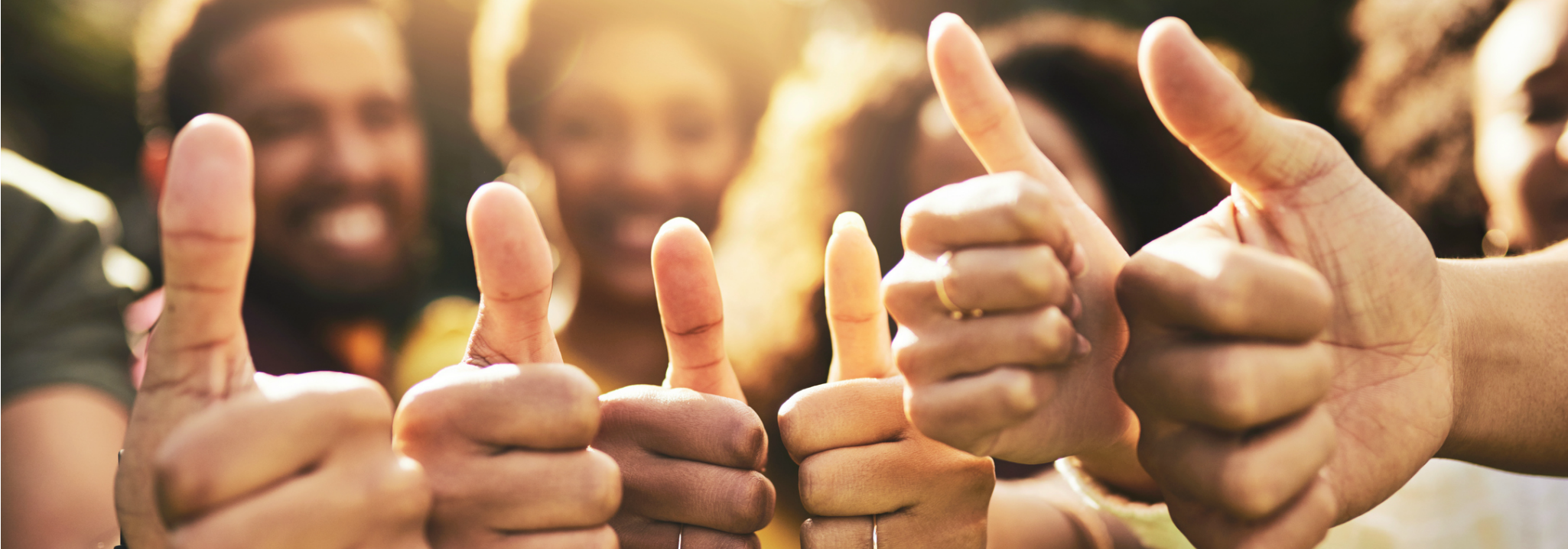 Reviews & Recommendations