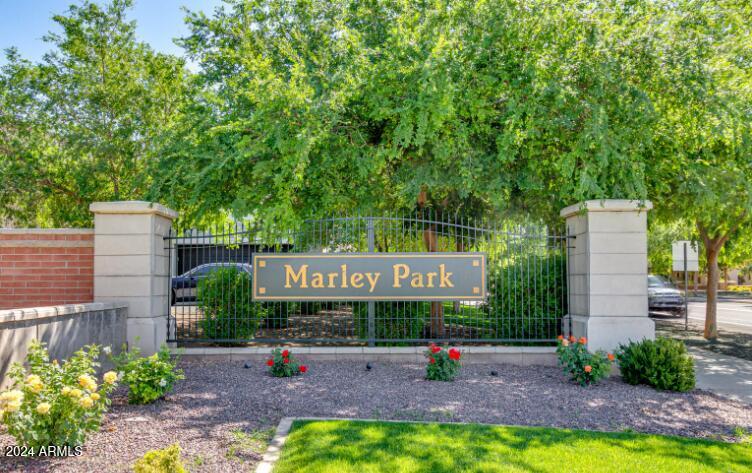 Marley Park Surprise AZ