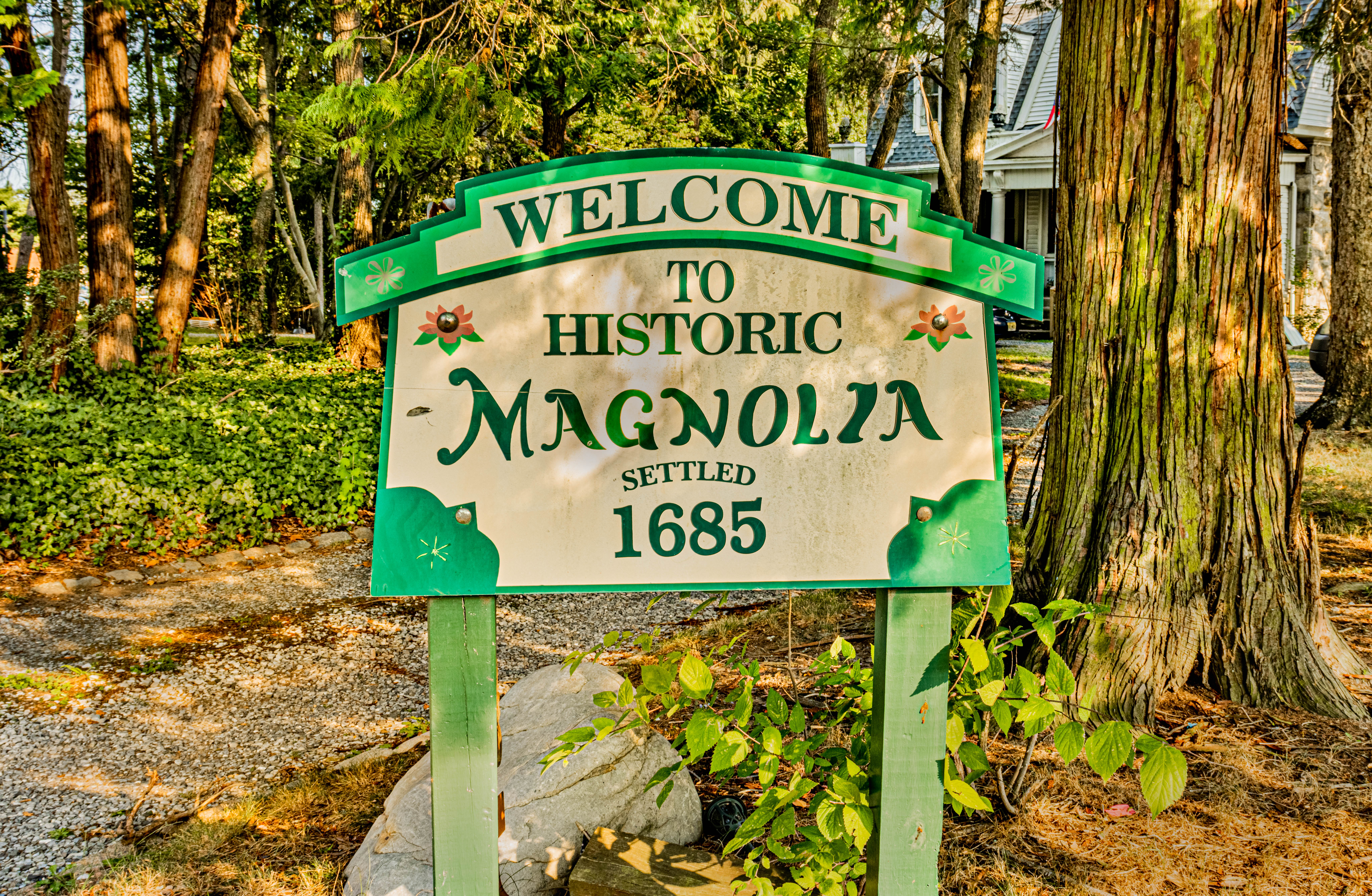 Magnolia's Newest Home Adventures