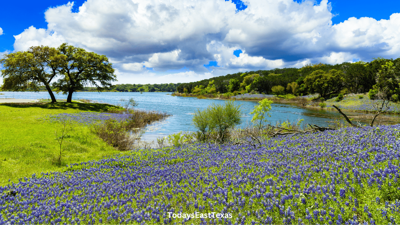 The Economic Stability Triad: Why Healthcare, Energy, and Education ...