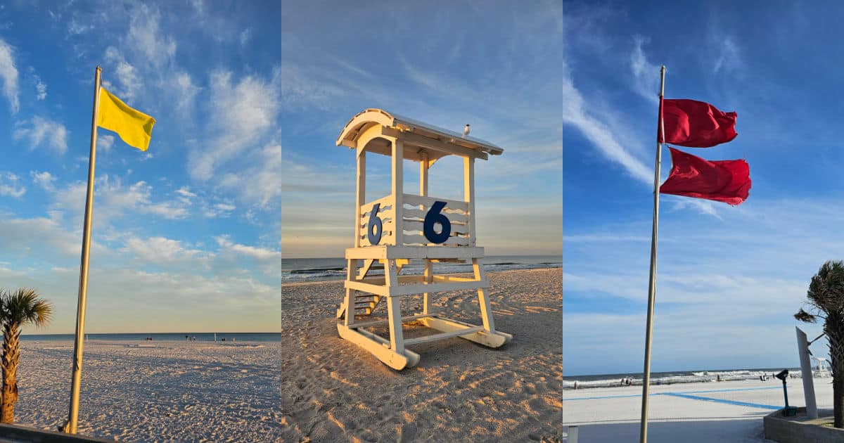 Beach Flags