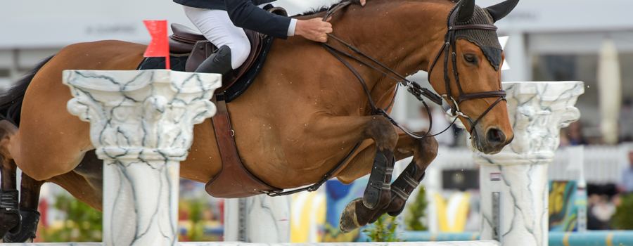 Everything You Need To Know About Equestrian Living In Wellington, FL