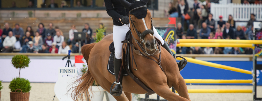 Everything You Need To Know About Equestrian Living In Wellington, FL