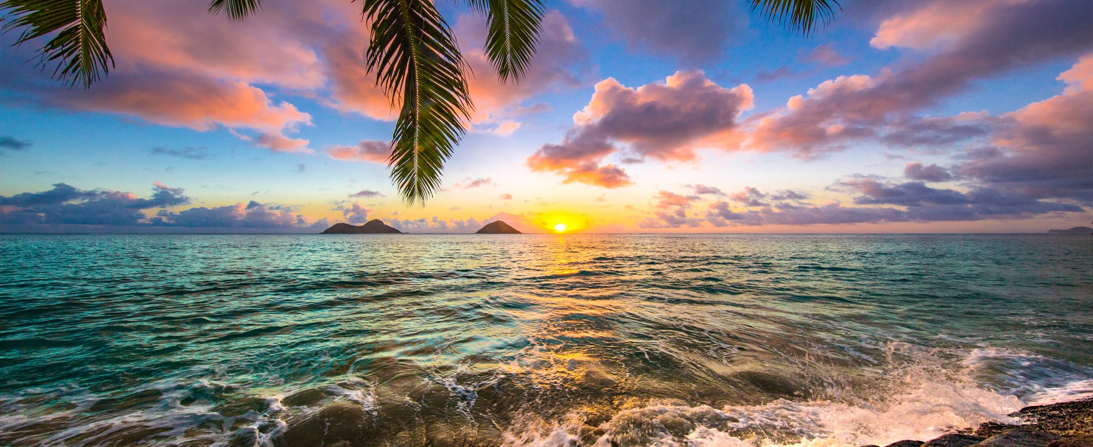 True Hawaii Real Estate