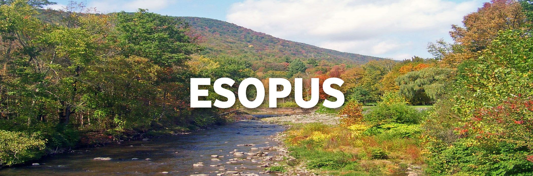 Esopus