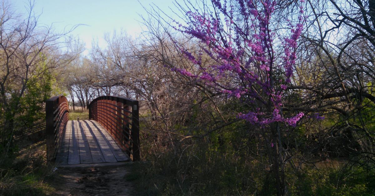 10 Best Parks in Wichita KS for Nature Lovers & Families | 2024
