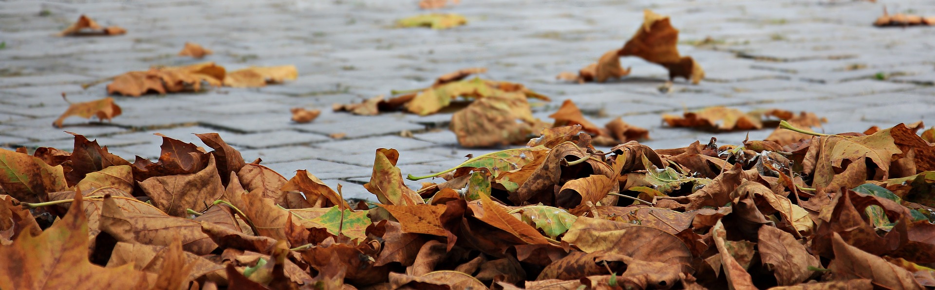 The Checklist of Fall Preventative Maintenance Chores That Will Help ...