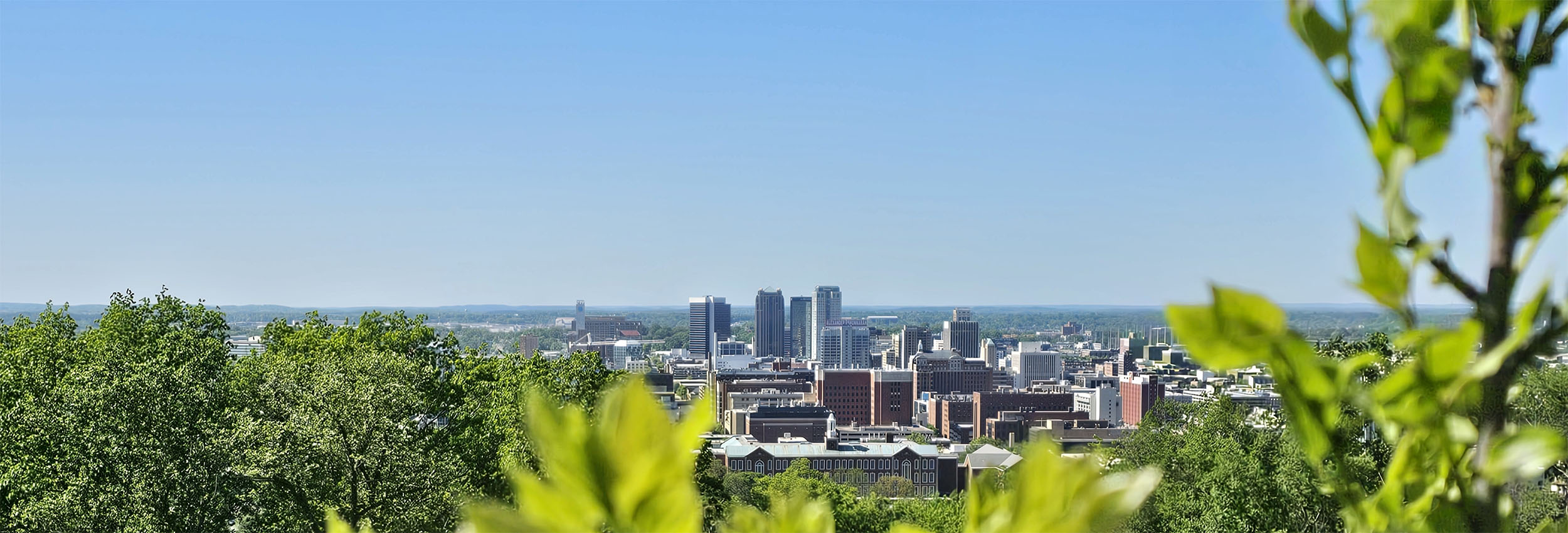 Legacy Homes for Sale | Birmingham Real Estate | Birmingham Welcome ...