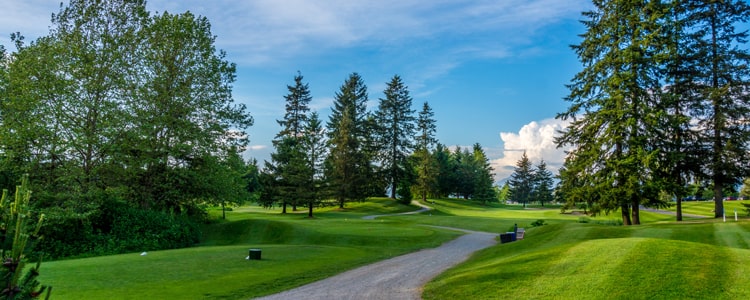 The 11 Best Golf Courses In Maple Ridge, B.C.