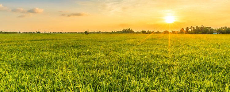 8 Reasons You Should Buy Land In Maple Ridge, BC