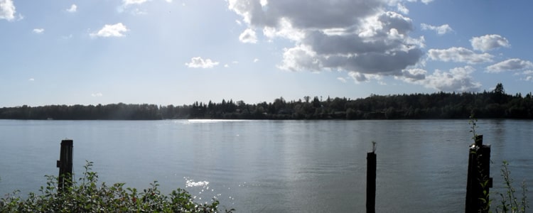 5 Reasons Creekside, Maple Ridge Is A Great Place To Live in 2022