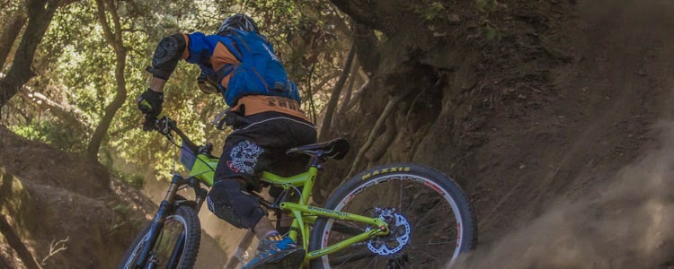 5 Reasons Albion, Maple Ridge Is A Great Place To Live in 2022