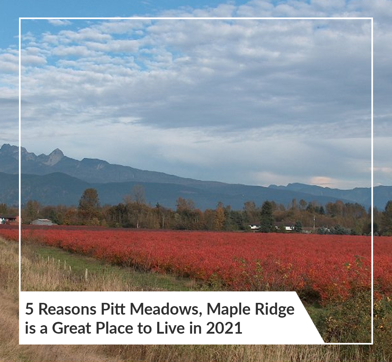 5 Reasons Pitts Meadow, Maple Ridge is a Great Place to Live in 2022