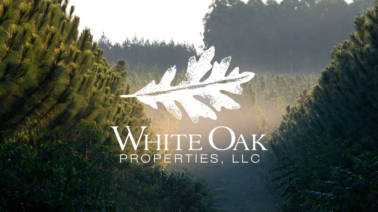 About White Oak Properties | Mississippi Real Estate Experts