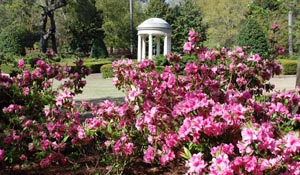 The North Carolina Azalea Festival 2012