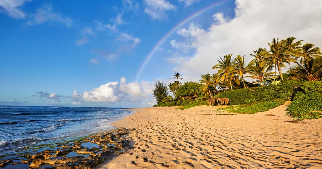 Koa Ridge Hawaii Real Estate & Living Guide 2026 | Your Oahu Home Team